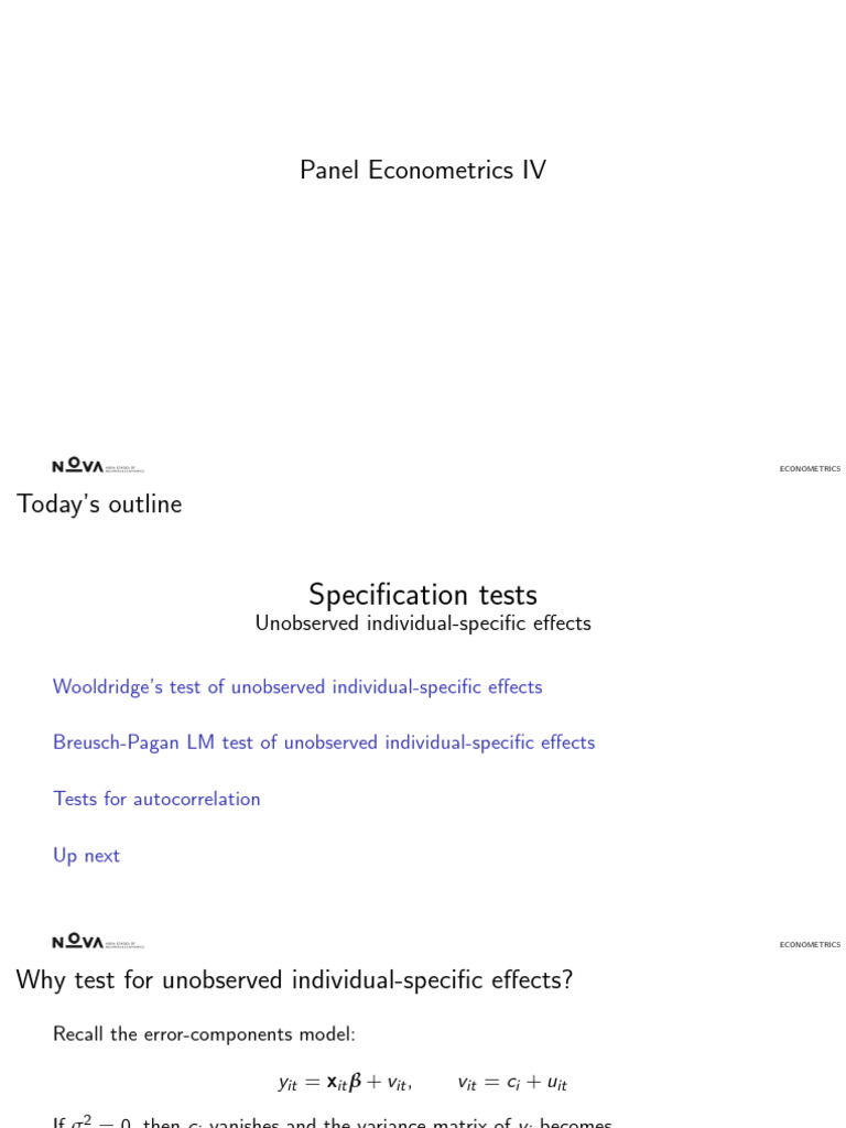 Panel Data IV | PDF | Errors And Residuals | Autocorrelation