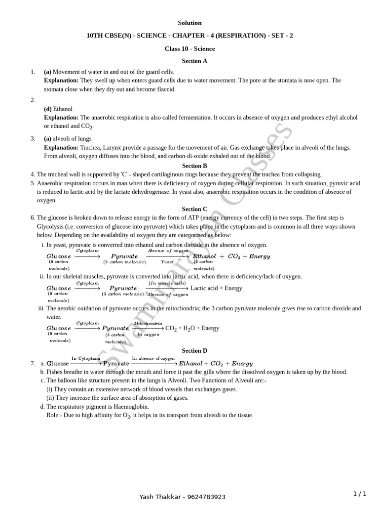 10th CBSE (N) - Science - Chapter - 4 (Respirartion) - Set - 2 ...