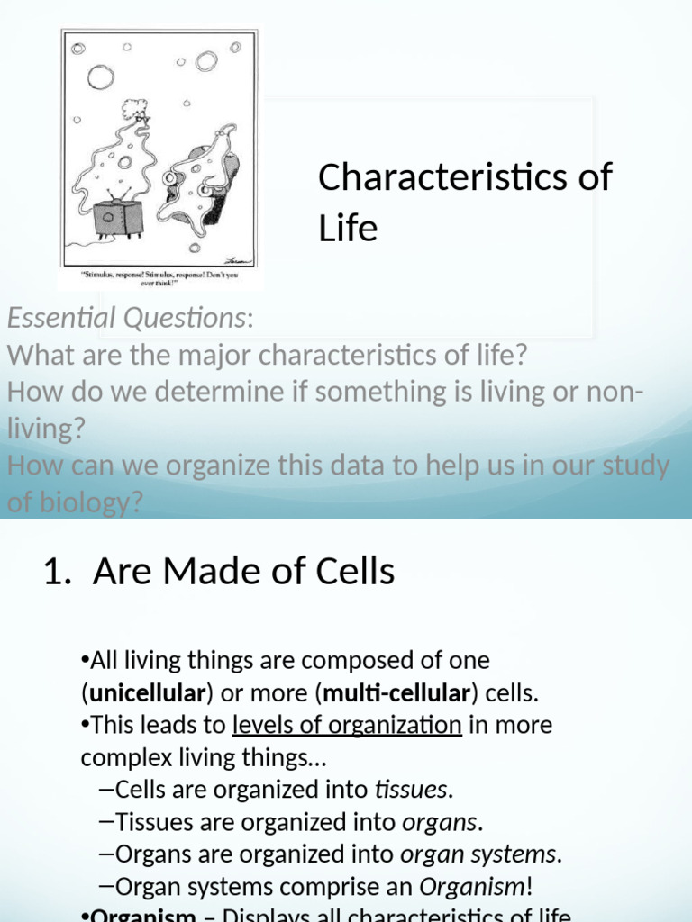 Characteristics of Life7 | PDF | Reproduction | Genetics
