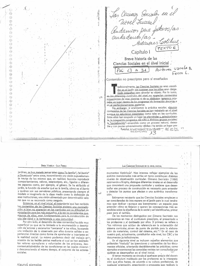 Texto 6-Breve Historia de Las Cs Sociales en El NI | PDF