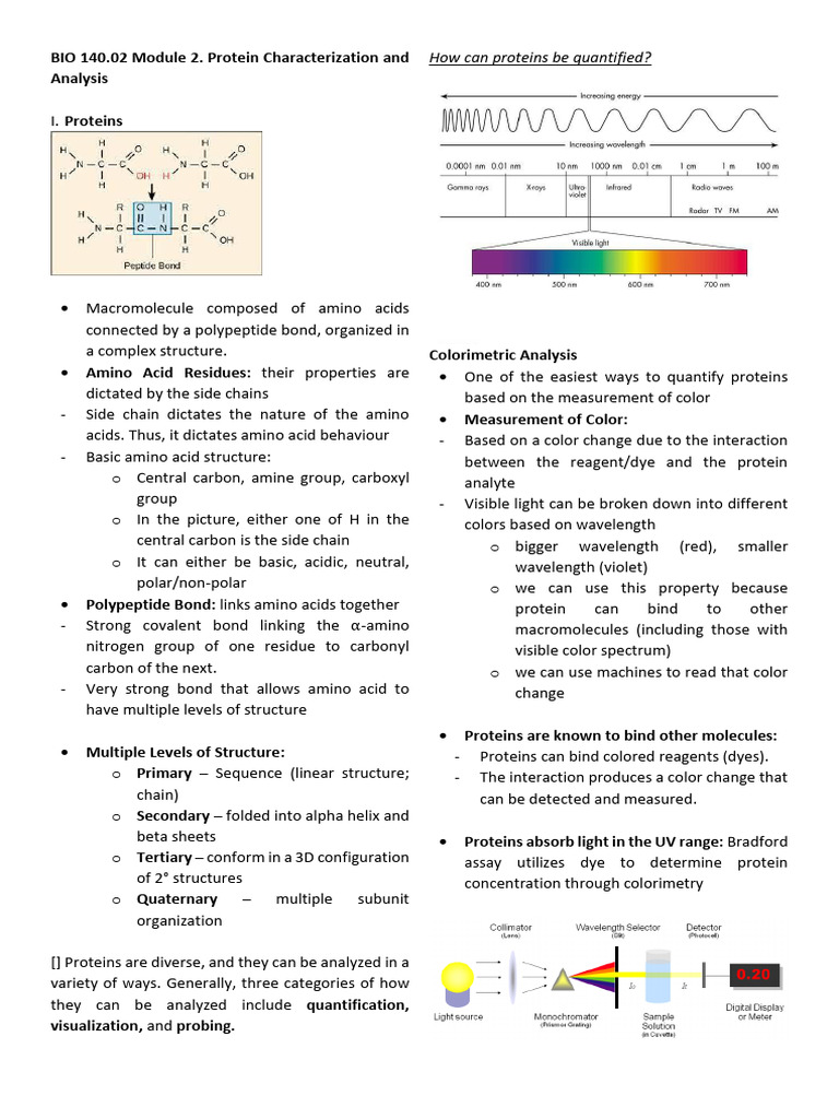 Protein Analysis Techniques Overview | PDF | Gel Electrophoresis ...
