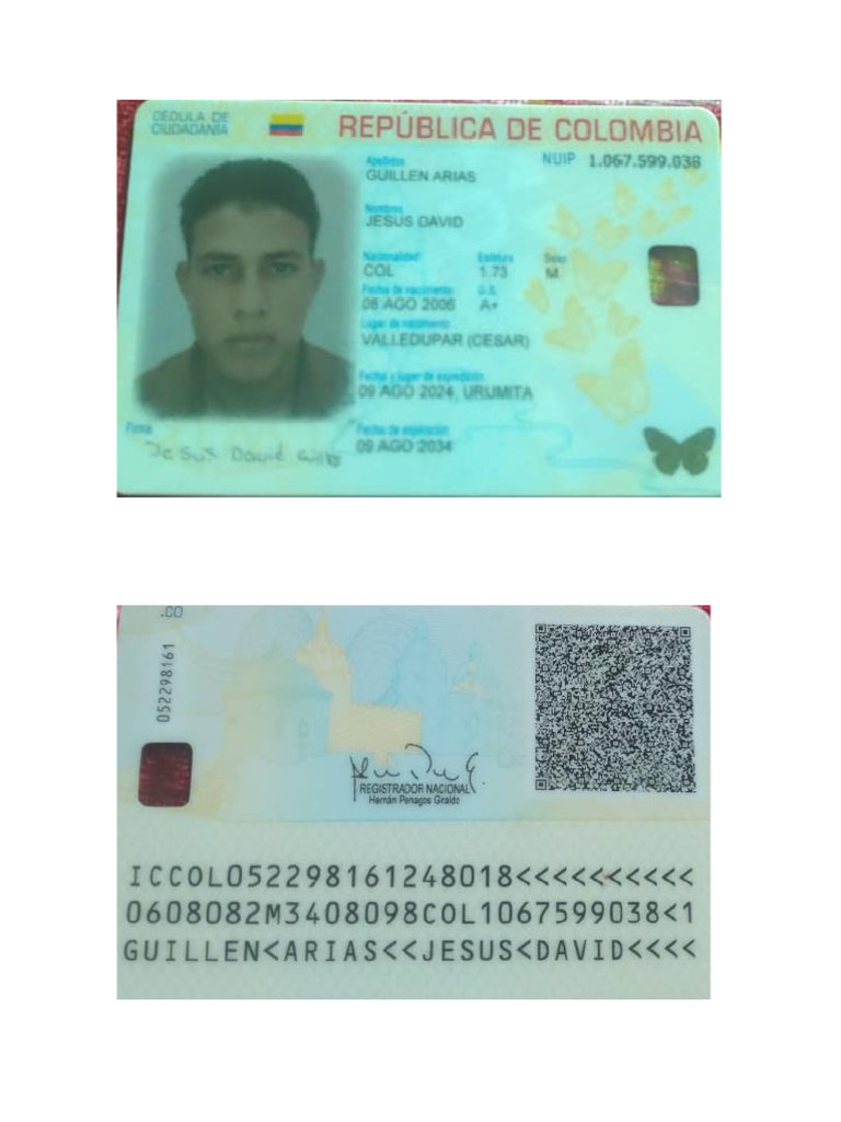 Cedula Jesus David Guillen | PDF