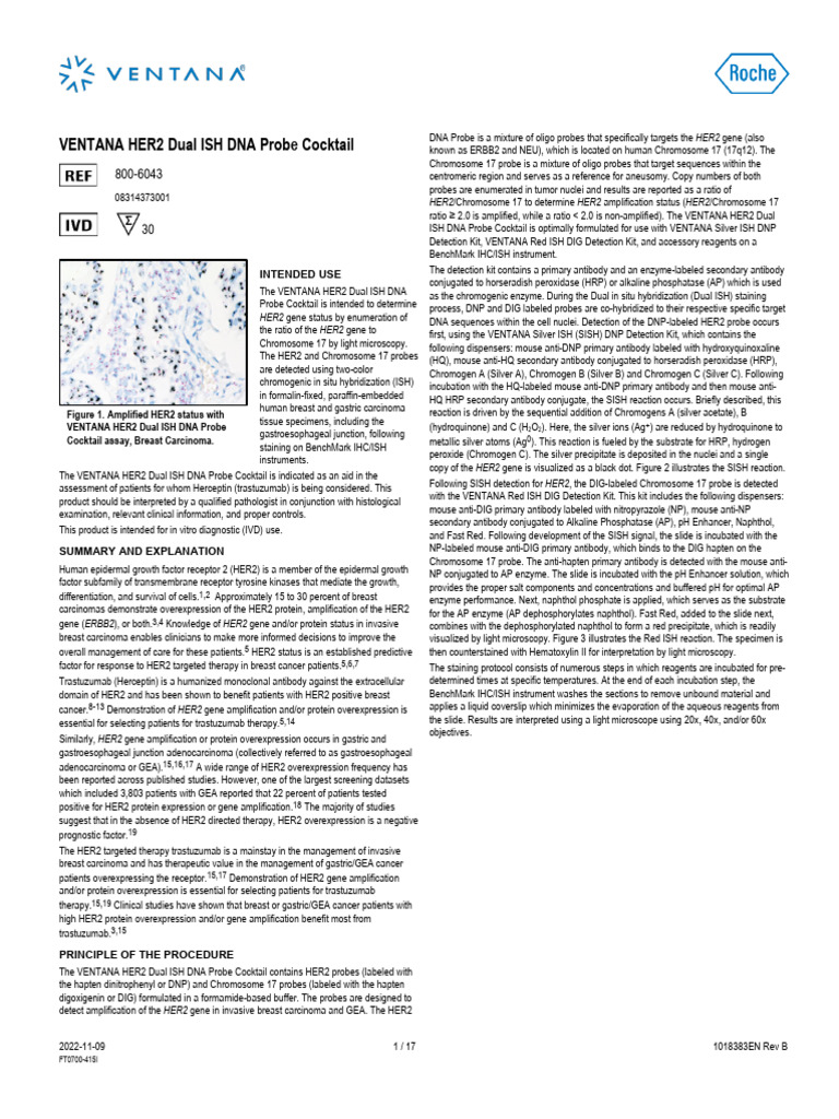 Package Insert, HER2 Dual CISH Assay Ventana | PDF | Biology | Life ...