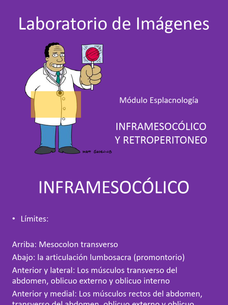 Anatomía del Inframesocólico y Retroperitoneo | PDF | Abdomen | Riñón