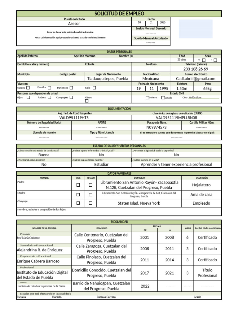 Formato Solicitud de Empleo | PDF