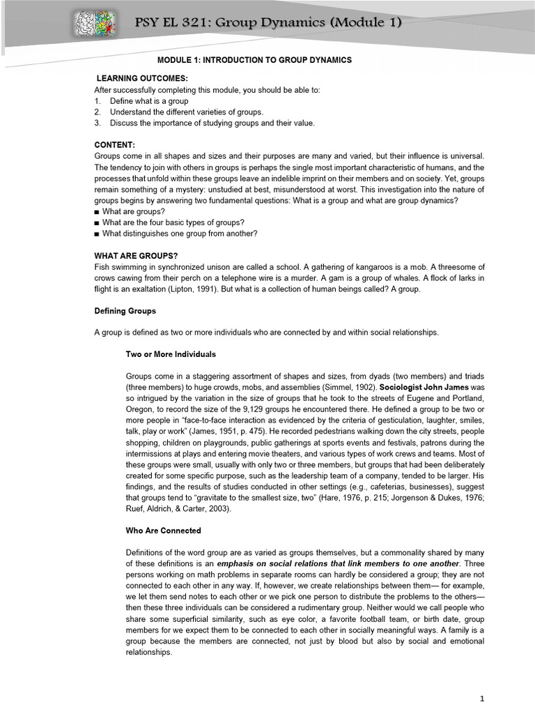 Introduction to Group Dynamics Concepts | PDF | Identity (Social ...