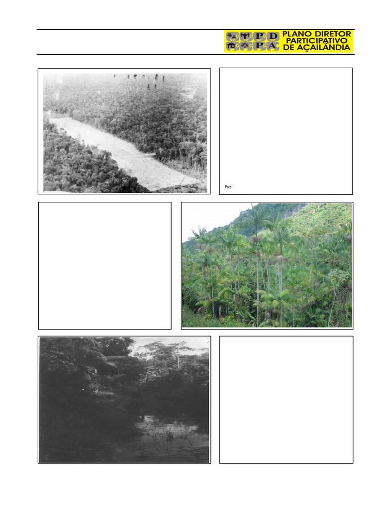 10 PDPA-Banco de Imagens LT-02.b Pioneiros | PDF