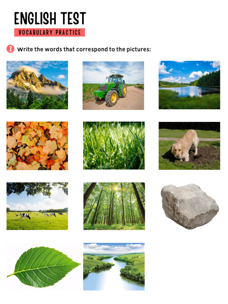 White Pastel Green Simple Past Grammar Practice Worksheet | PDF