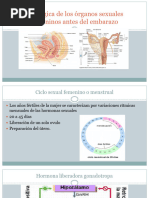 Fisiología Hormonas Masculinas y Femeninas | PDF | Hormona luteinizante | Ciclo menstrual