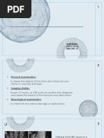 HINE Scoring Examples | PDF | Anatomical Terms Of Motion | Human Body