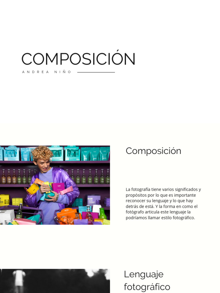 Elementos Clave de Composición Fotográfica | PDF | Composición (artes ...