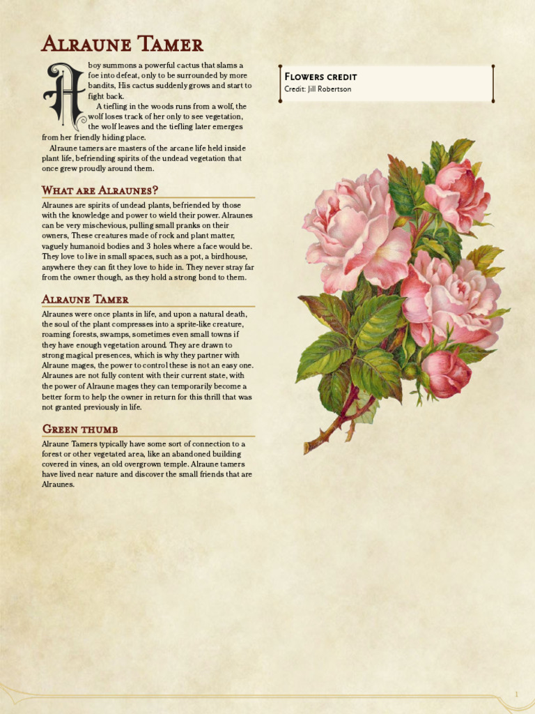 Alraune Mage Class by Himothebard | PDF | Magician (Fantasy)