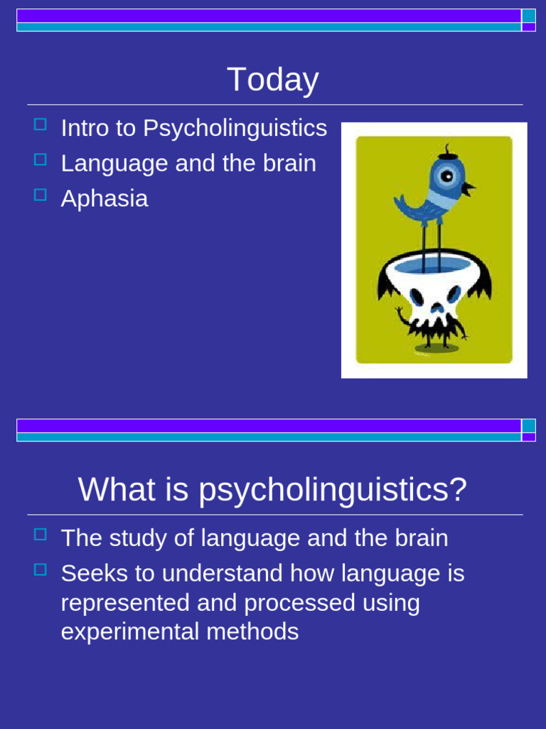 Intro To Psycholinguistics Brief | PDF | Lateralization Of Brain ...
