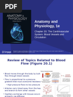 Vascular Plug - Abbott - Amplatzer Vascular Plug | PDF | Interventional ...