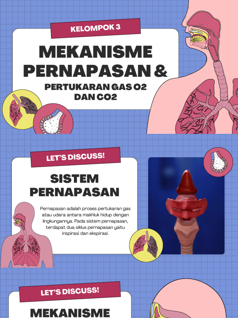 Mekanisme Pernapasan & Pertukaran Gas O2 Dan CO2 - Kelompok 3 | PDF