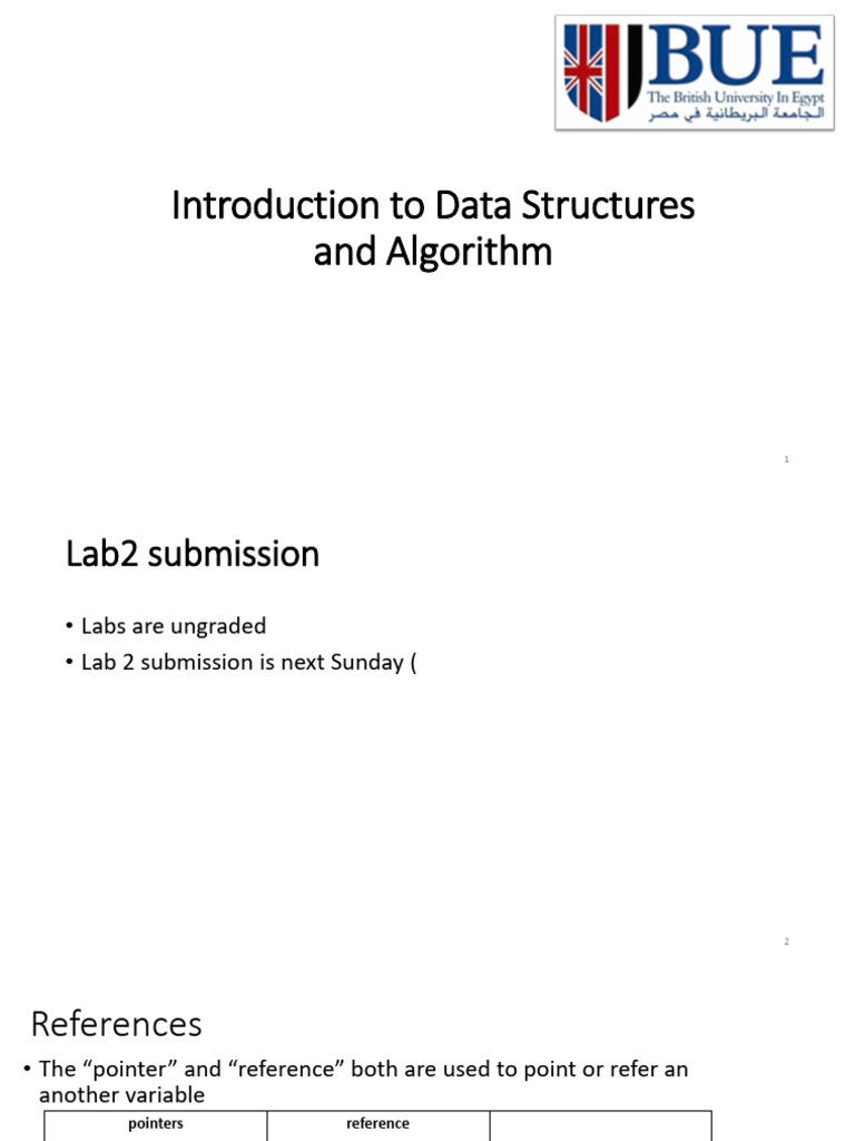Lecture 3 Ds Pdf Pointer Computer Programming Inheritance