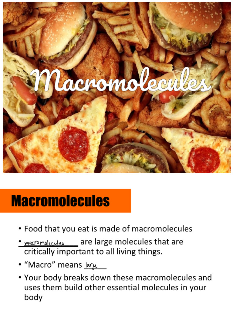 Macromolecules Student Notes | PDF
