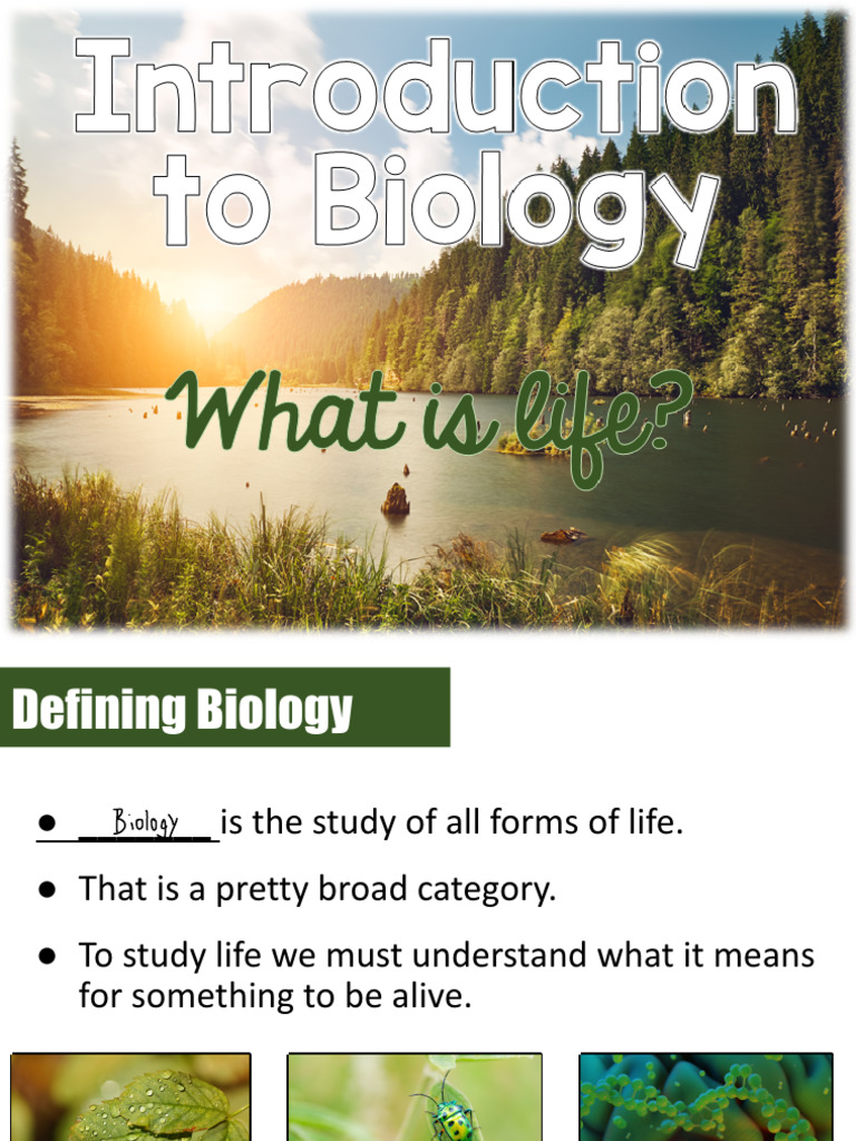 Characteristics of Life Student Notes | PDF