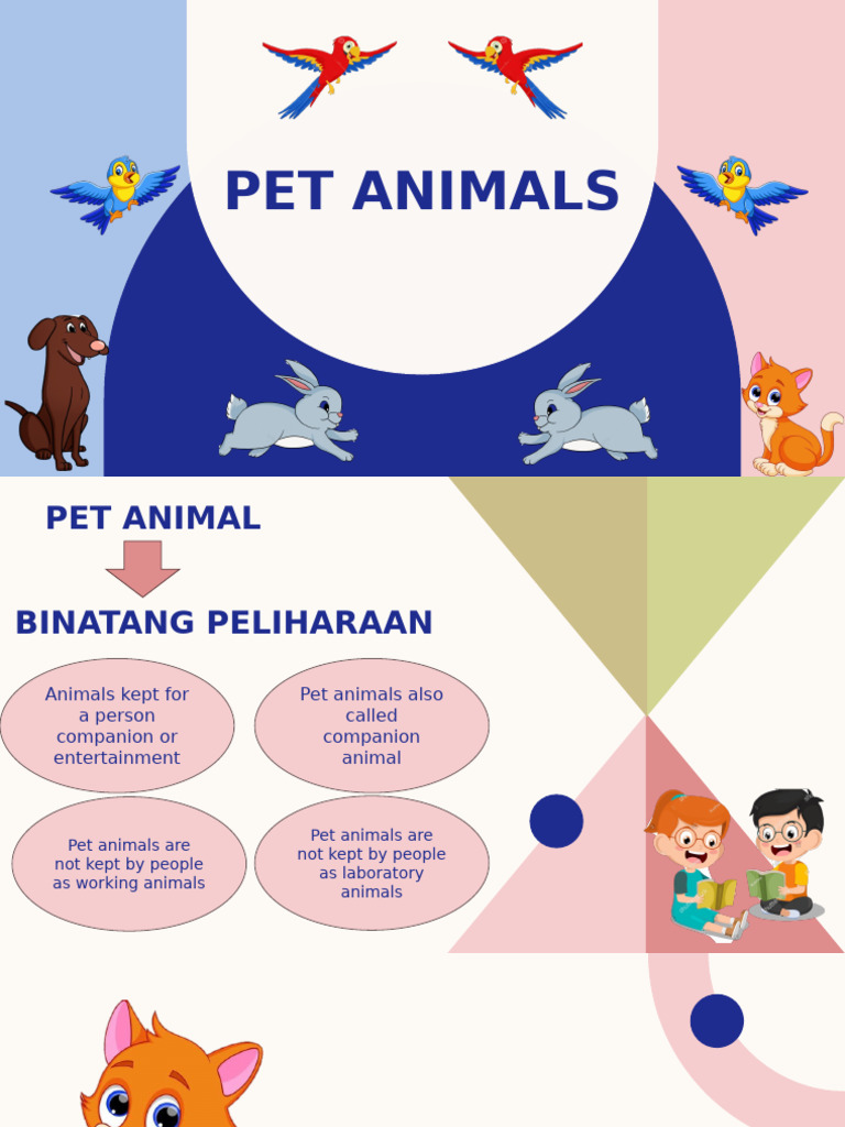 Understanding Pet Animals | PDF
