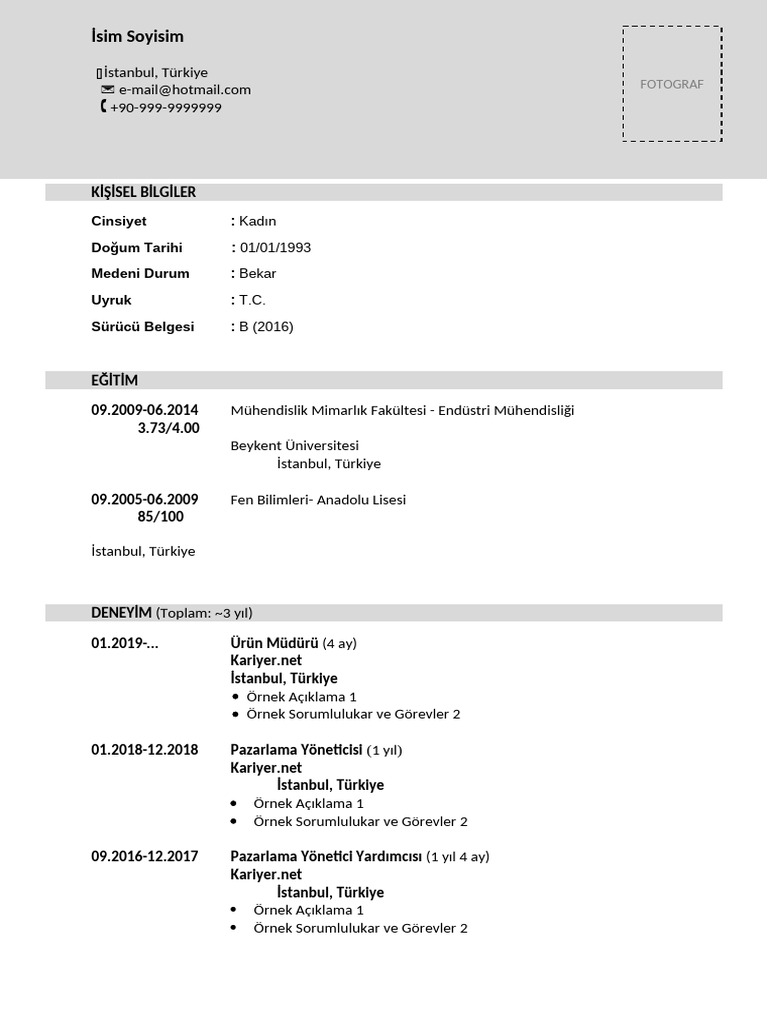 Ornek CV 1 | PDF
