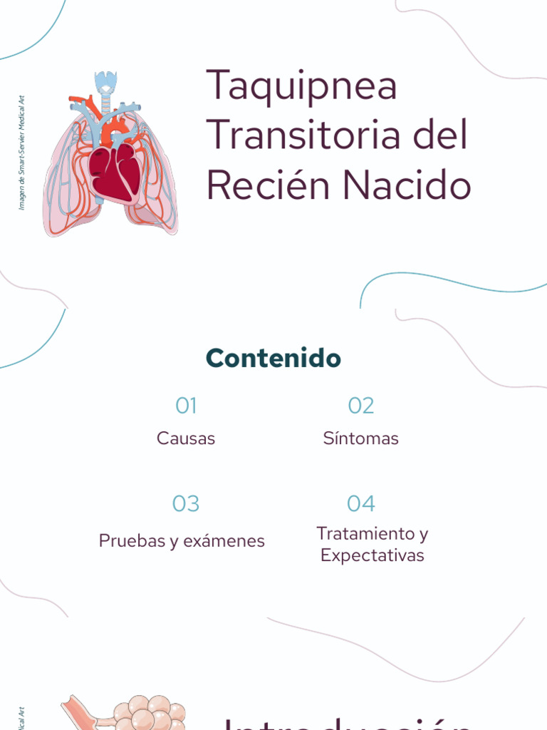 Taquipnea Transitoria en Recién Nacidos | PDF | Enfermedades y ...