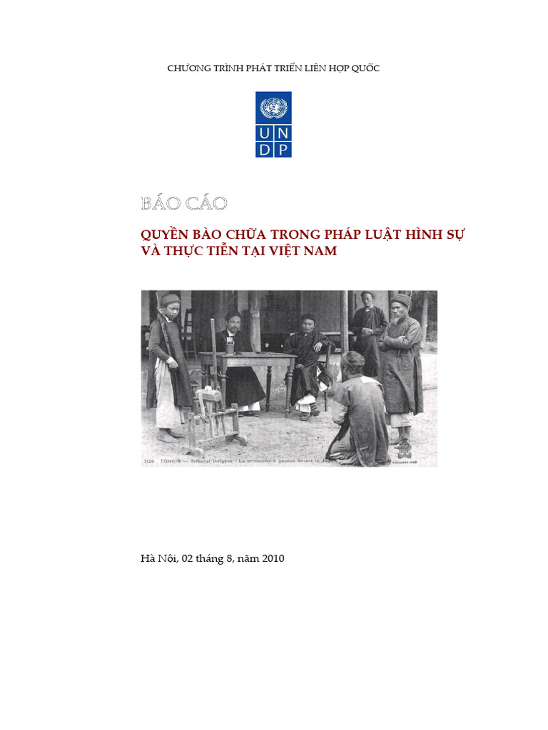 Bao Cao Nghien Cuu Quyen Bao Chua Trong PL TTHS Va Thuc Tien Tai VN - UNDP - 2010 - VN ...