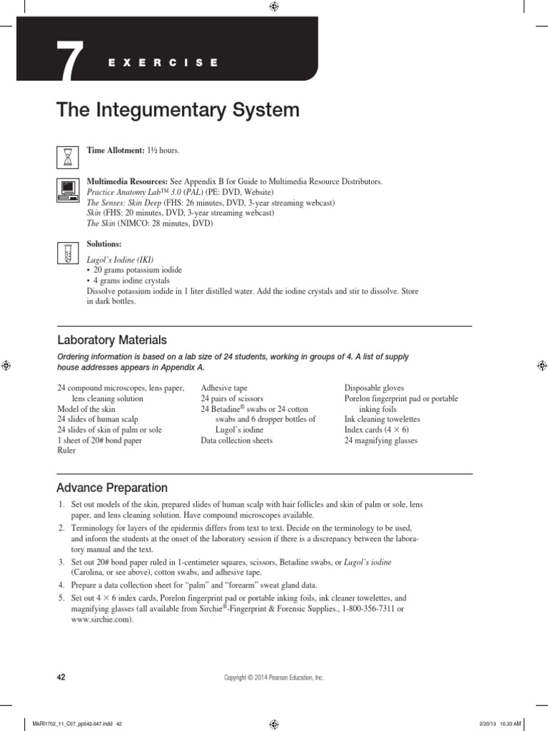 Lab 7 Integumentary Answers | PDF | Skin | Epidermis