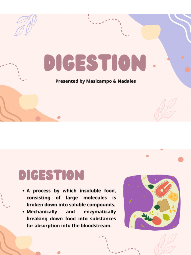 Digestion | PDF