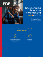 Guía Recuperación de Usuario y Contraseña | PDF | Contraseña | Telecomunicaciones