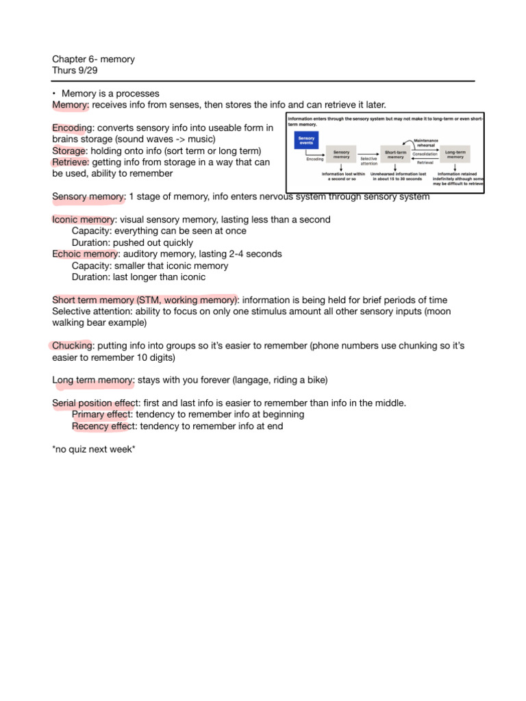 Ch 6- memory week 6, thurs 9 29 | PDF