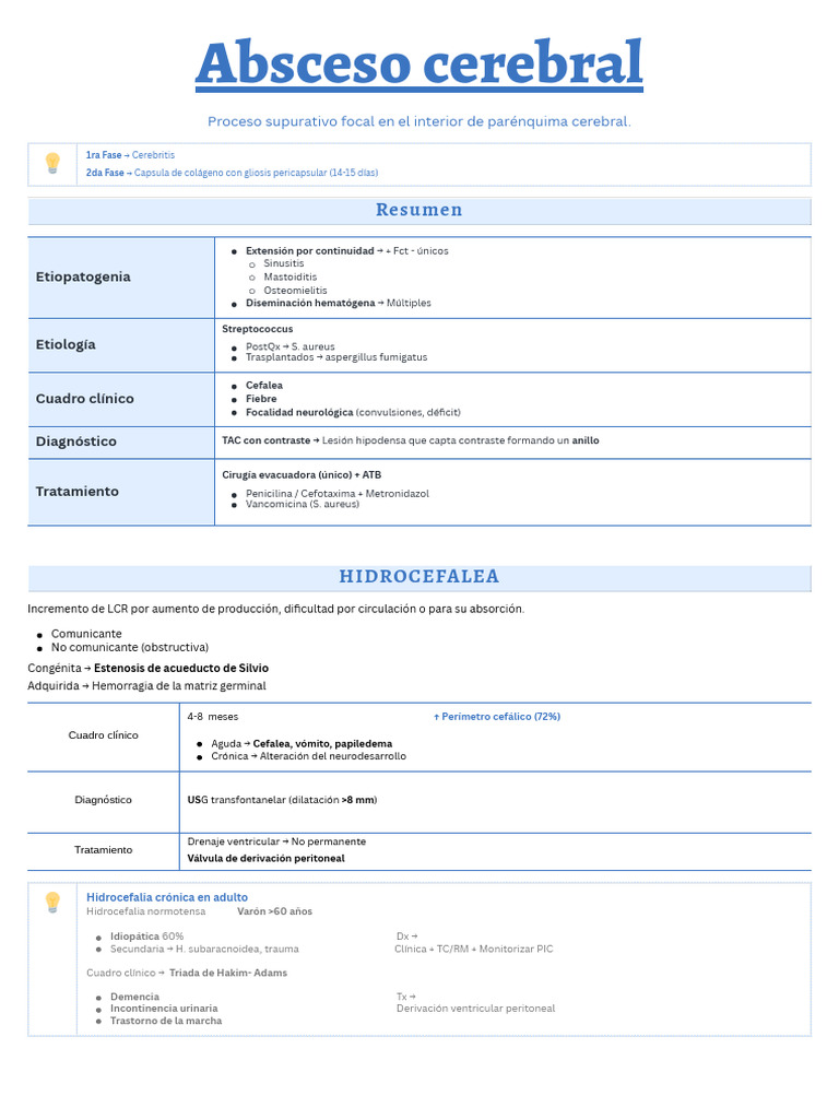 Absceso Cerebral y Hidrocefalia: Diagnóstico y Tratamiento | PDF ...