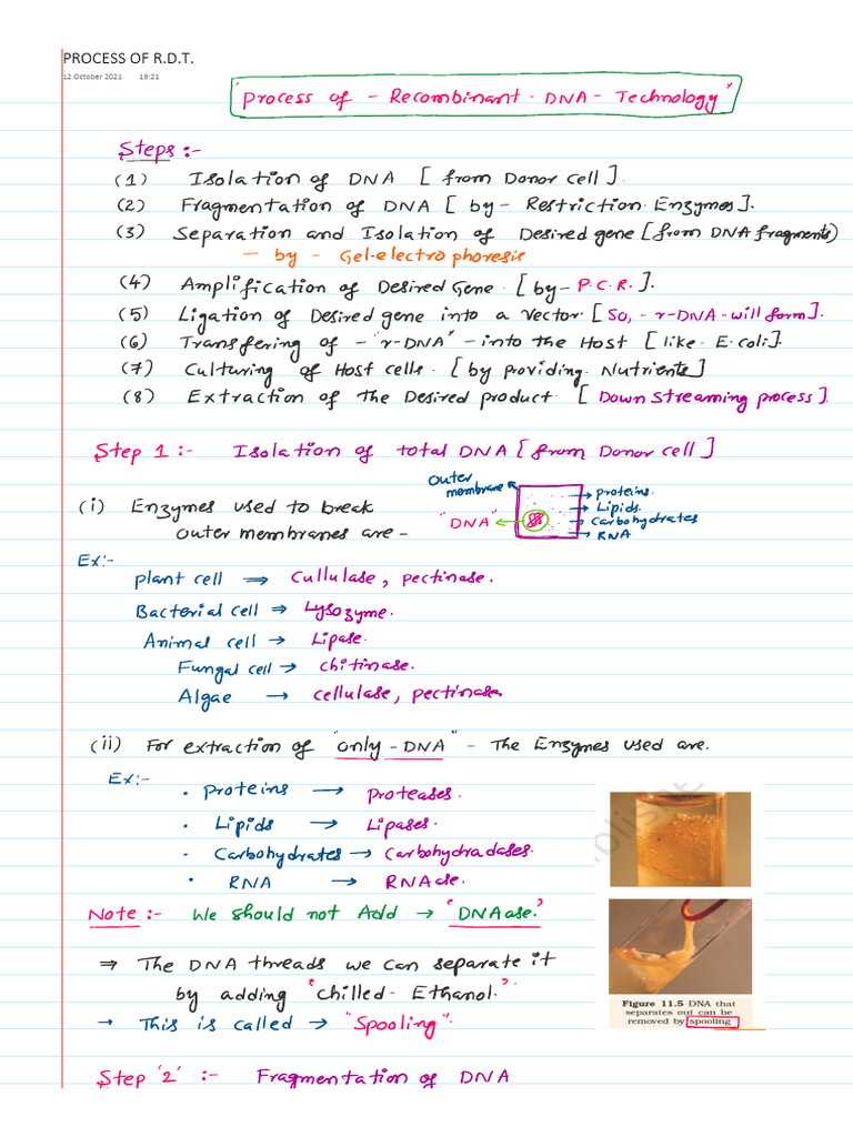 Process of Biotechnology | PDF