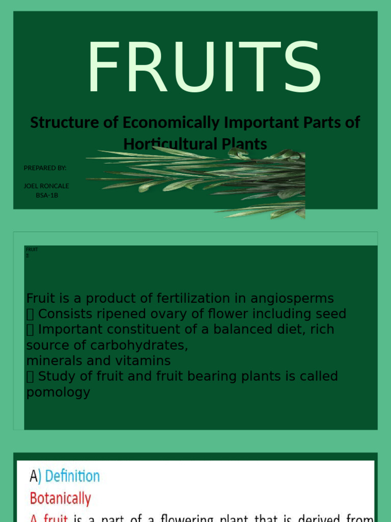 Presentation CropScience | PDF | Fruit | Plants