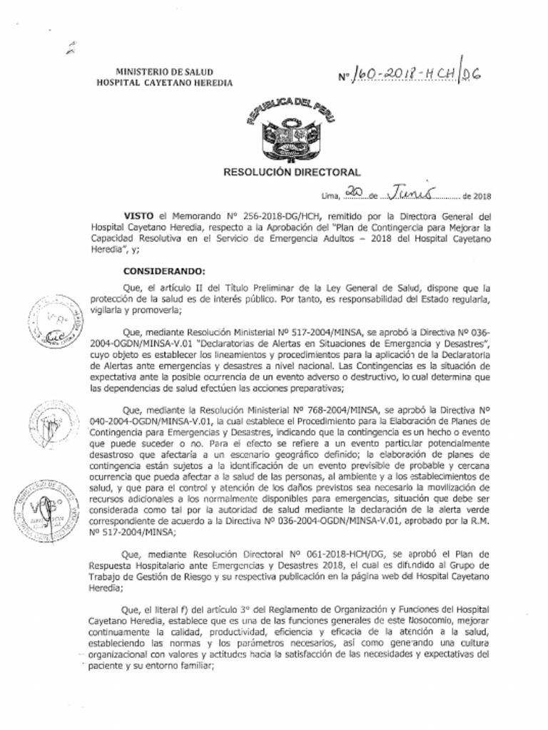 RD_160-2018-HCH-DG topico | PDF