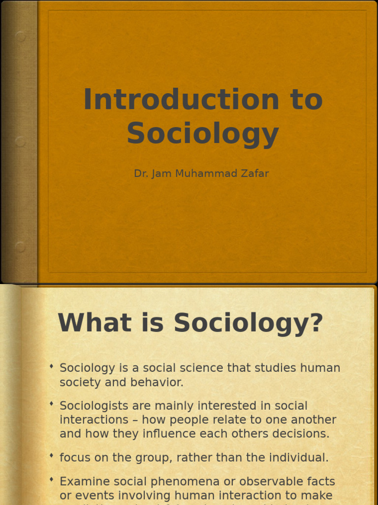 Introduction to Sociology Overview | PDF | Sociology | Social Sciences