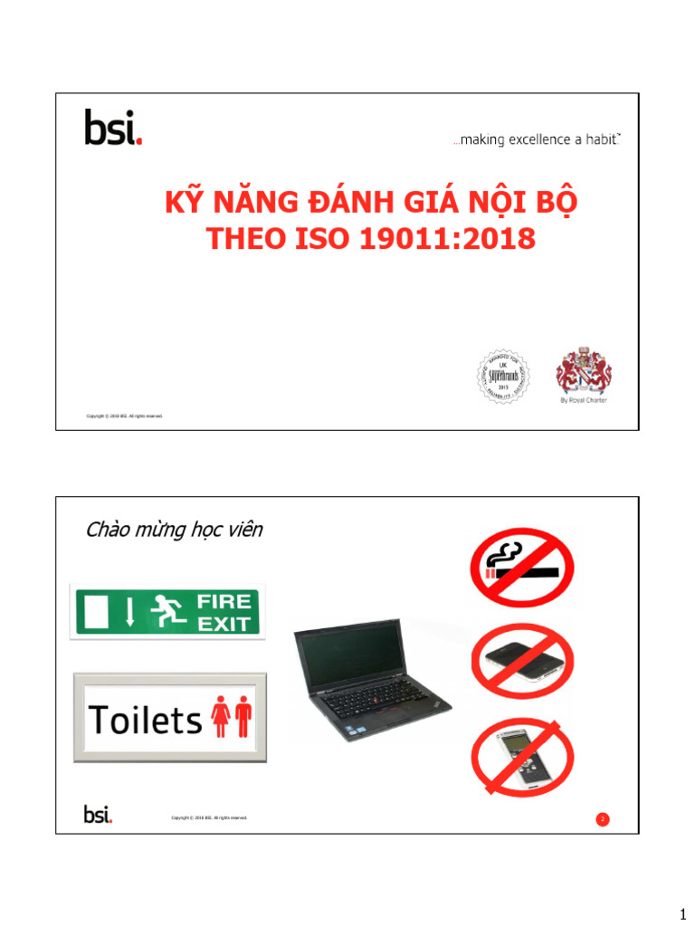 Internal - Audit (Bsi) | PDF