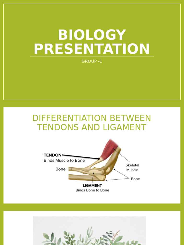 BIOLOGY PRESENTATION | PDF