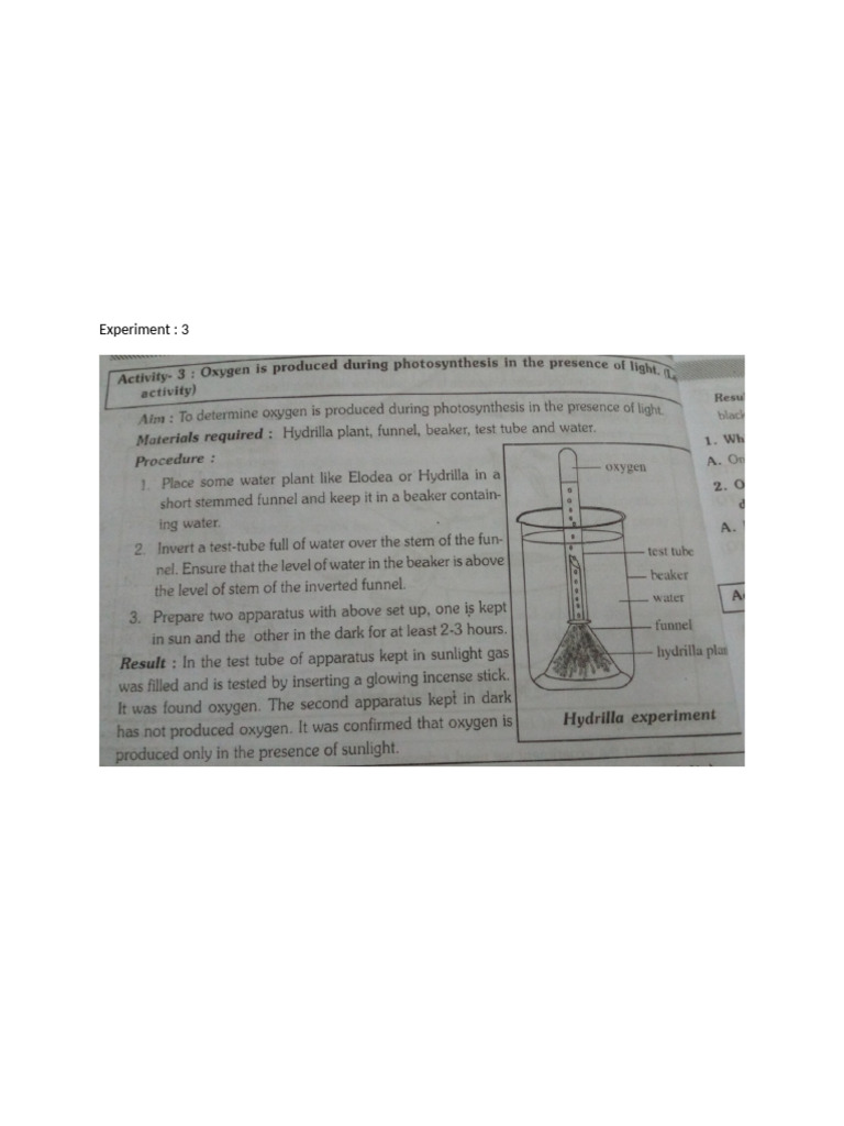 Experiment Photosynthesis | PDF