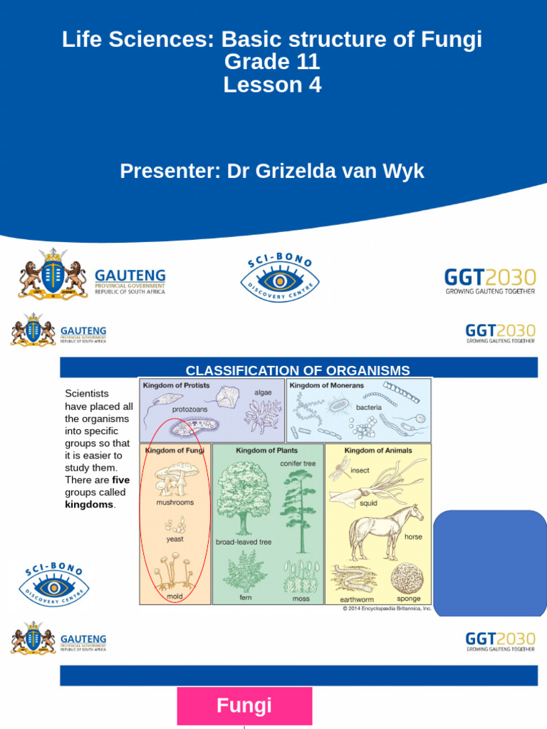 Life Sciences Gr.11 Lesson 4 Basic Structure of Fungi | PDF | Fungus ...