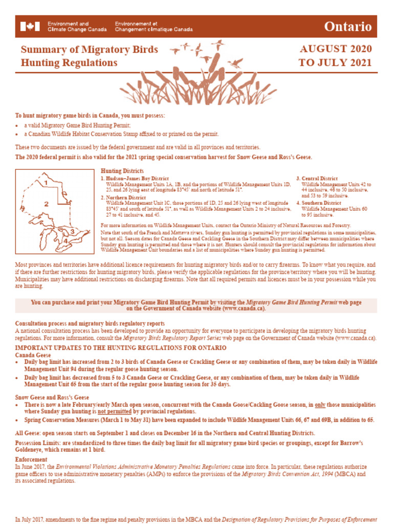 Ontario Migratory Bird Hunting Summary | PDF | Hunting | Goose