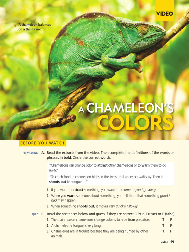 Session 3 - Reading Materials | PDF