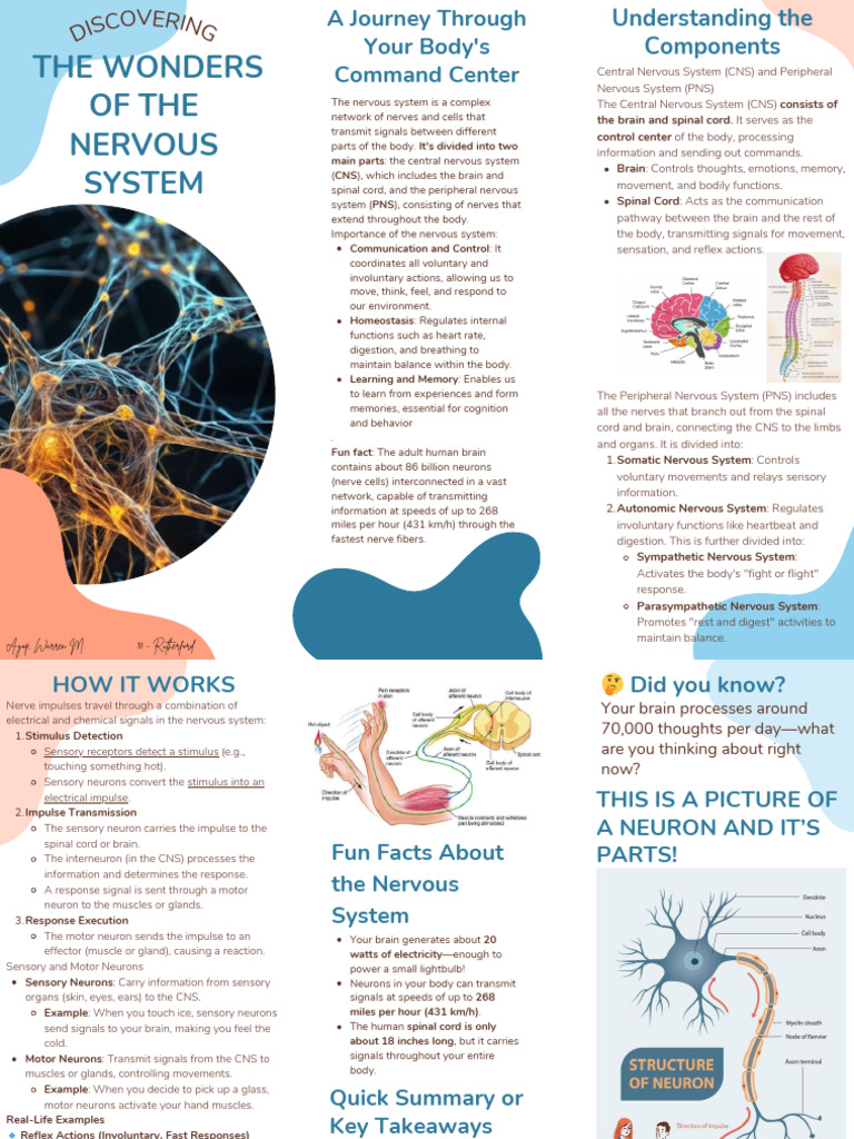 Copy of Blue Orange Creative Diabetes Trifold Brochure - 20250206 ...
