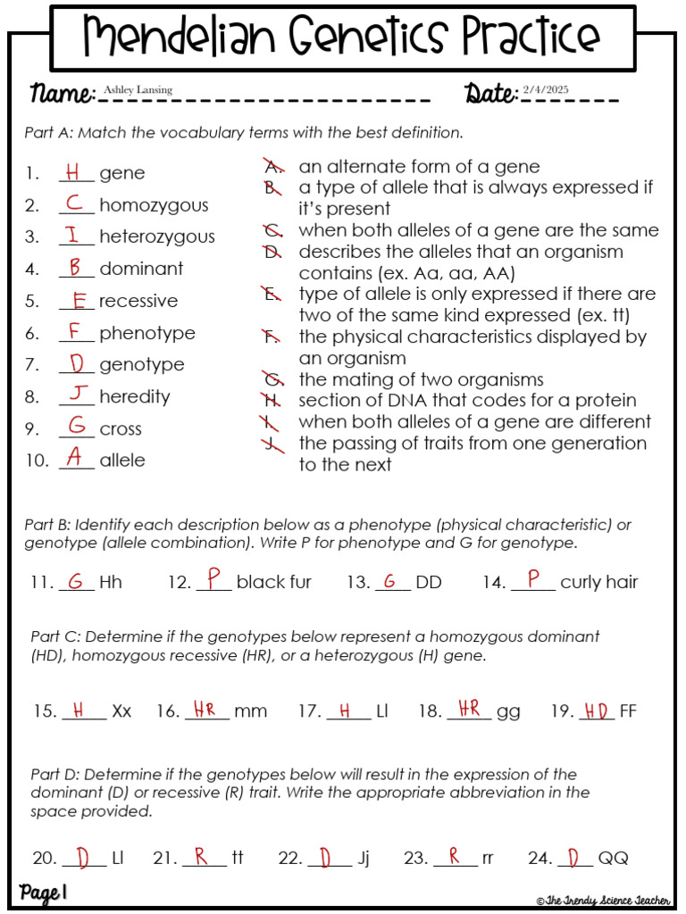Mendelian Genetics & Punnett Squares | PDF | Dominance (Genetics ...