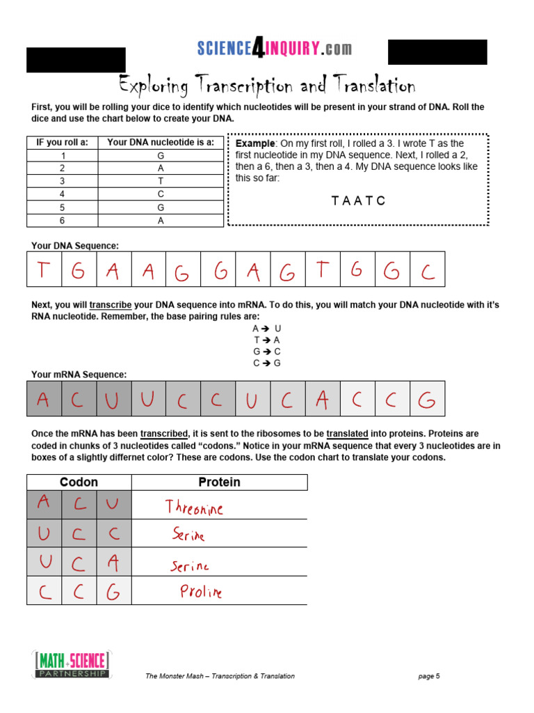 Monster Mash Activity - Student | PDF | Translation (Biology) | Genetic ...
