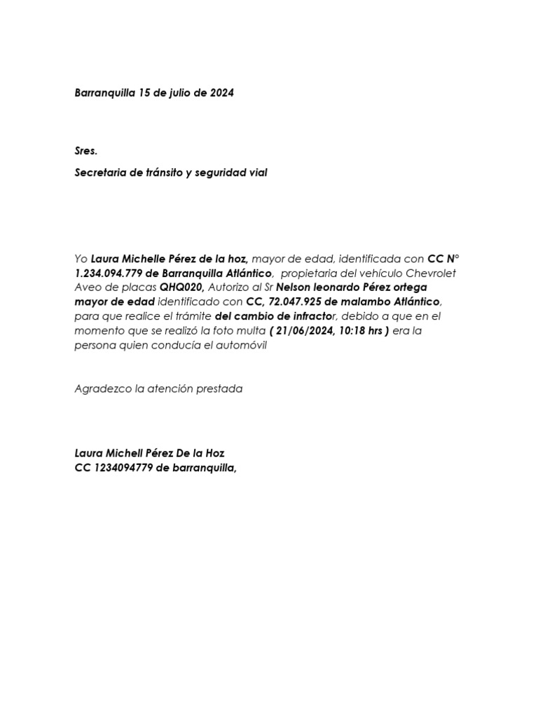 Autorización para Cambio de Infractor | PDF