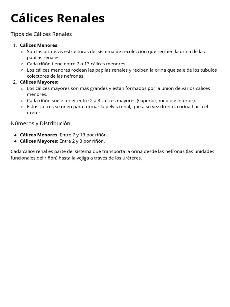 Tipos y Cantidad de Cálices Renales | PDF