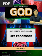 Class 10 Biology: Life Processes Notes | PDF | Cellular Respiration | Axon