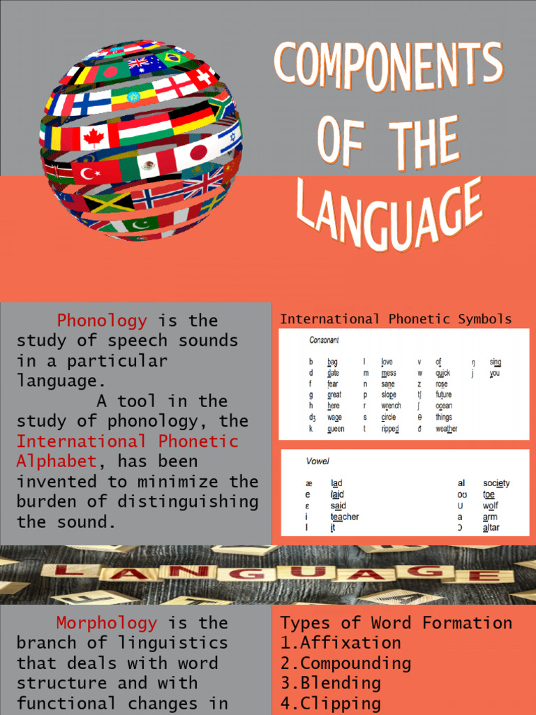 Components of the Language | PDF