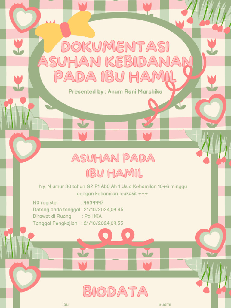 Asuhan Kebidanan Ibu Hamil 10 Minggu | PDF