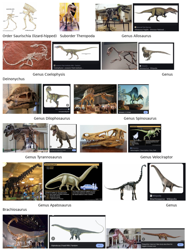 Dino Picks | PDF